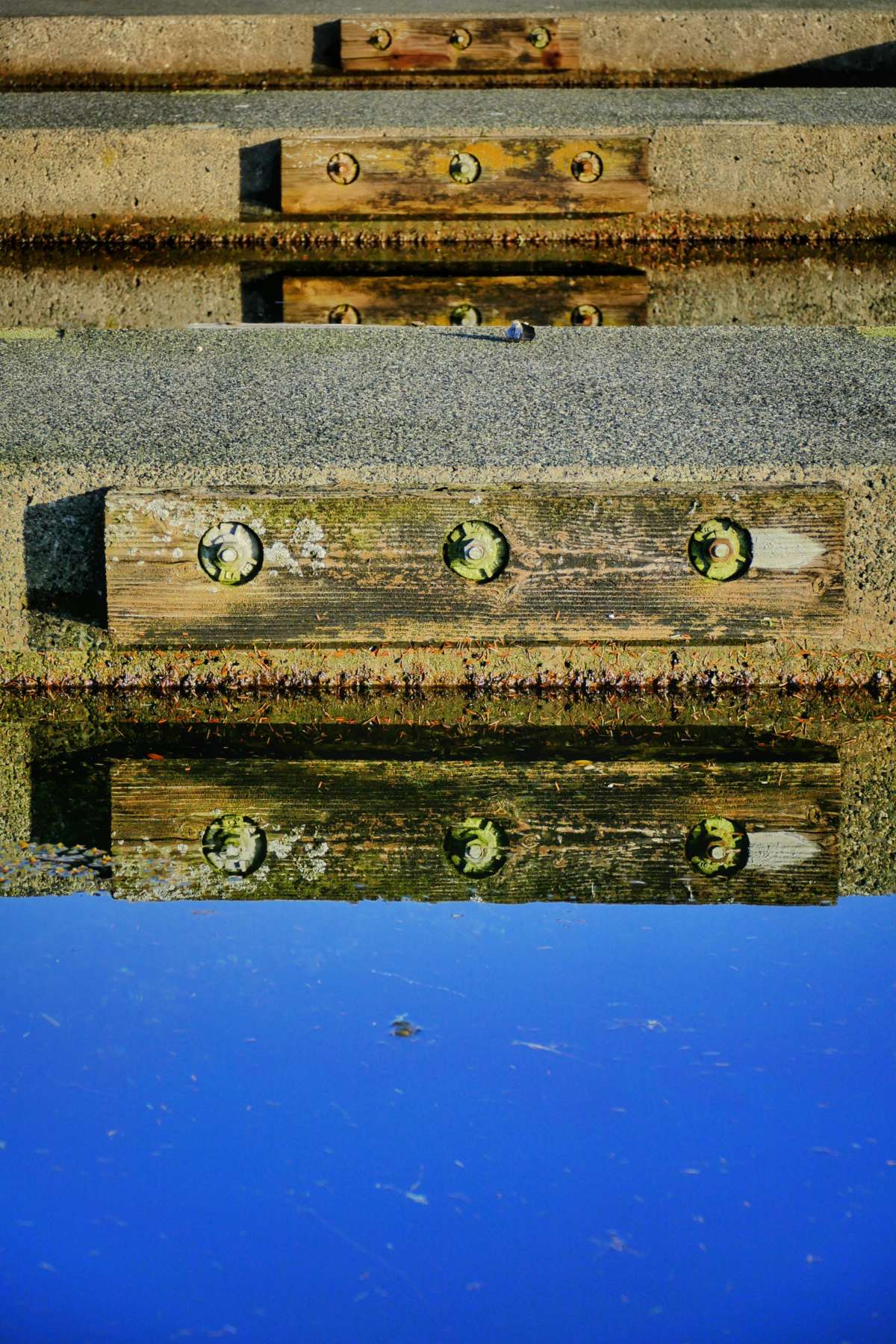 Harbors – Statter Harbor Gallery – City and Borough of Juneau