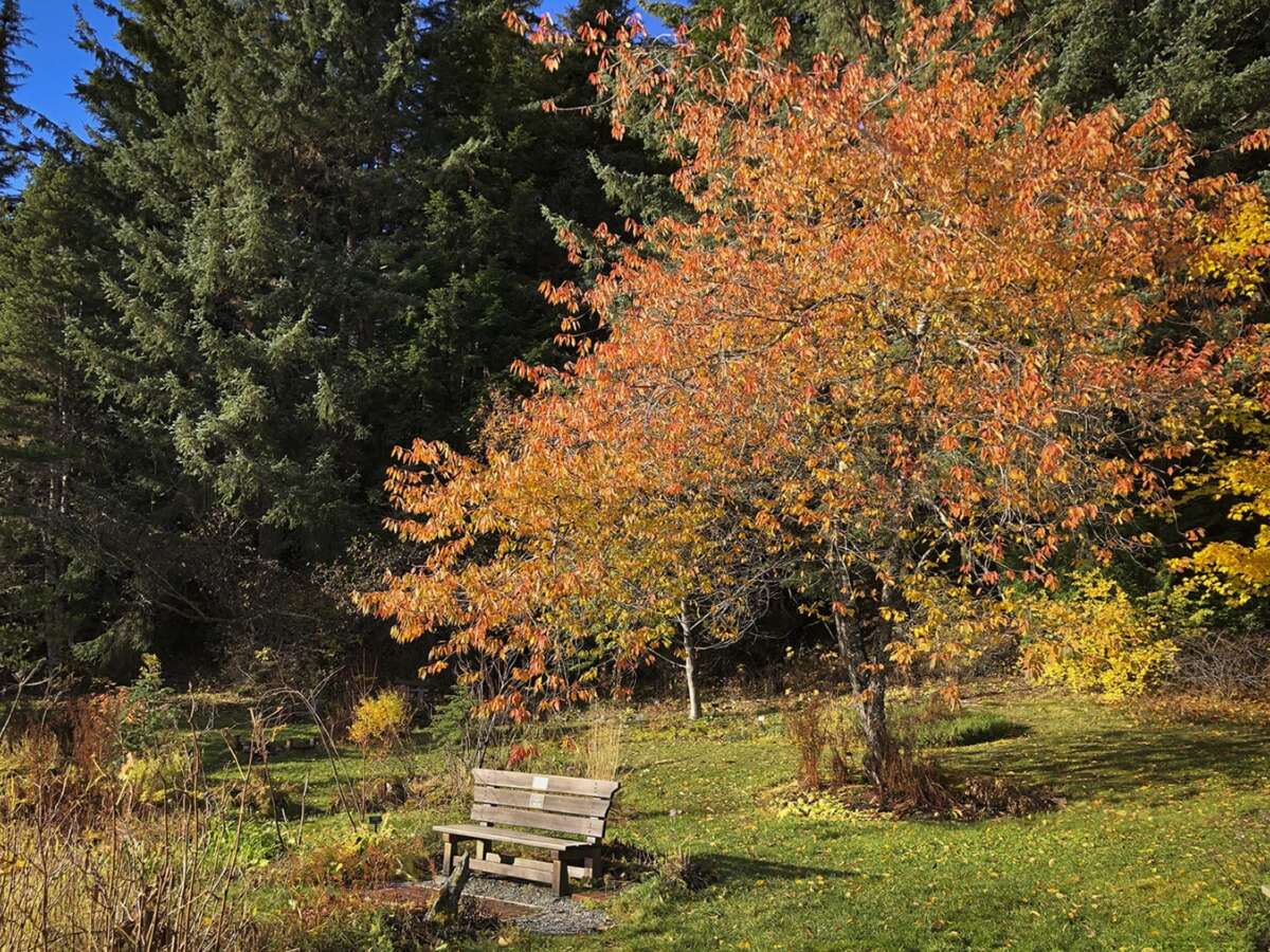 P&R – Jensen-Olson Arboretum Collections – City and Borough of Juneau